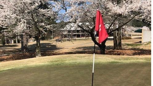 Calhoun Men's Spring Classic | AmateurGolf.com